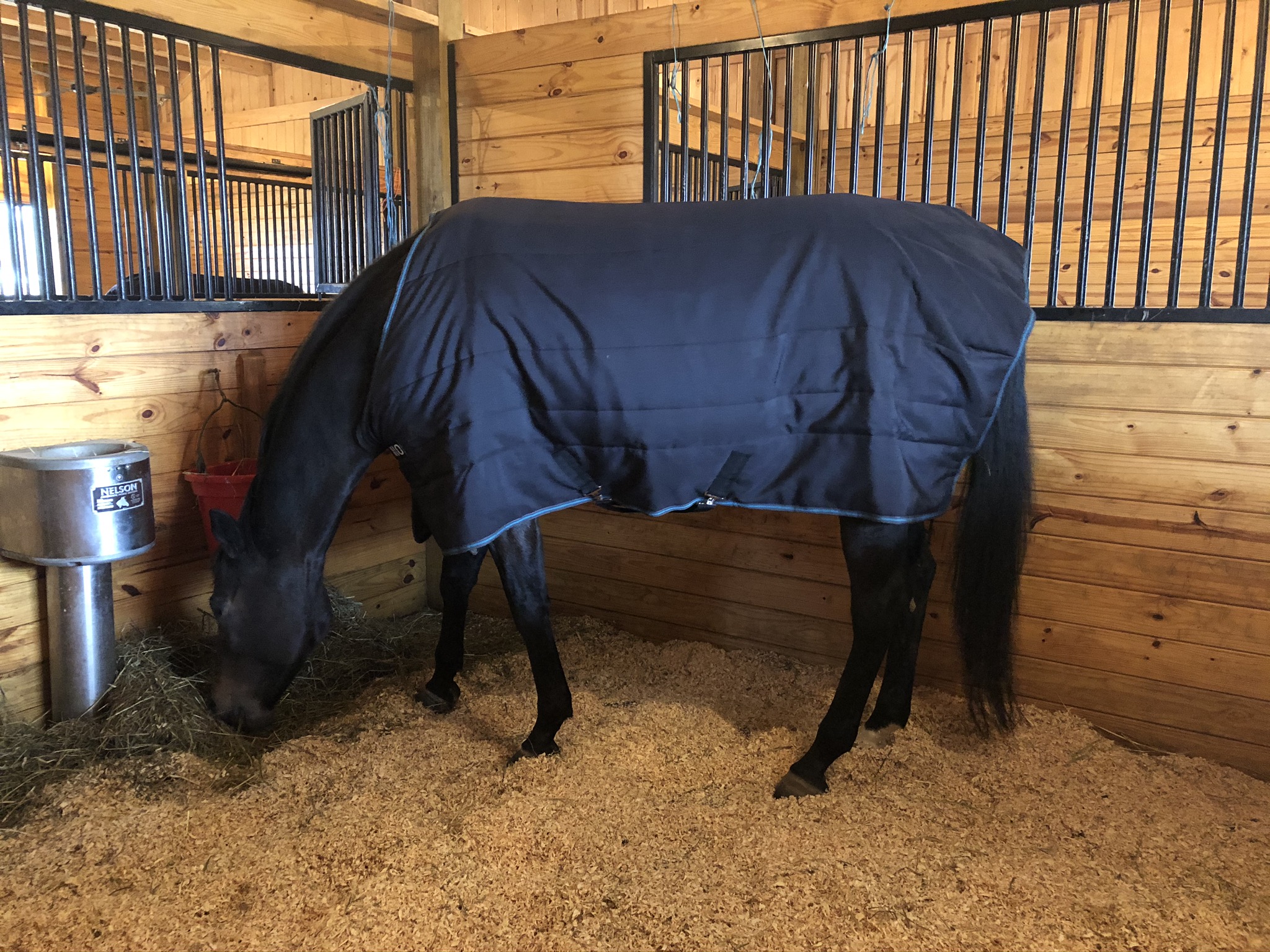 Individual Stall Rentals - Rising Moon Stables