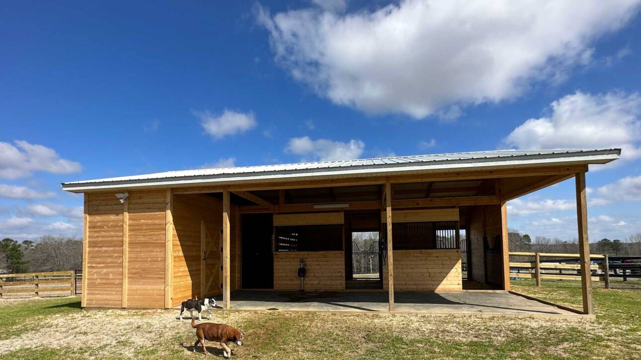 Services - Rising Moon Stables