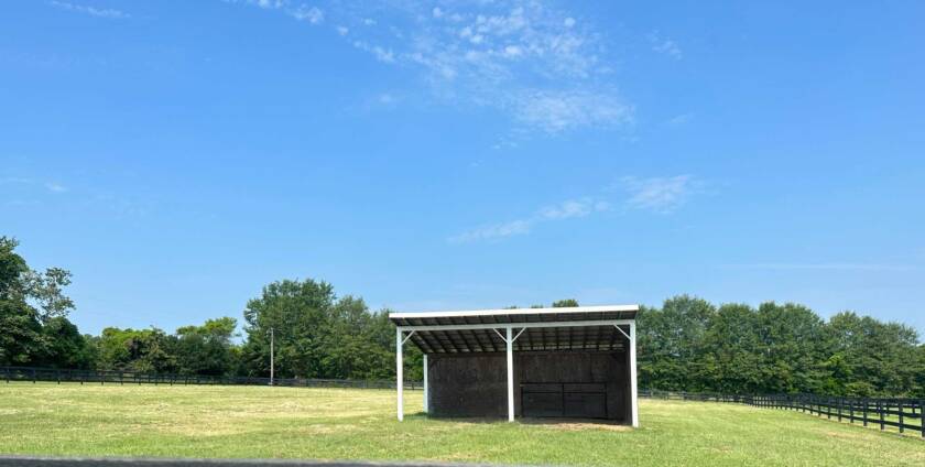 Run In Shed and field for Rent in Aiken, SC - Rising Moon Stables